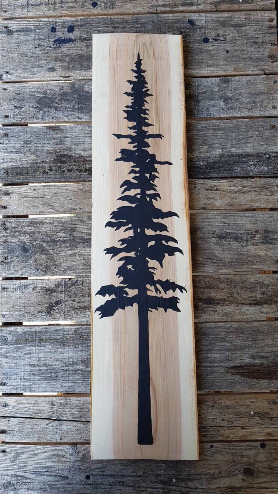 Sitka Tree Live Edge Trees Evergreen Douglas Fir Cedar Wood Vancouver ...