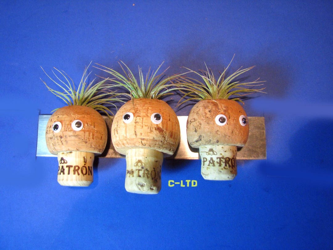 PATRON Tequilla CORK Air Fern Carriers/ Magnetic Backing/ Air Ferns ...