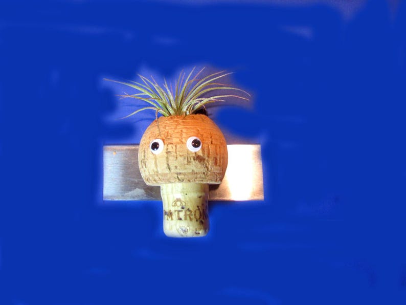 PATRON Tequilla CORK Air Fern Carriers/ Magnetic Backing/ Air Ferns ...