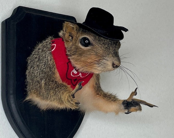 Cowboy Bandit Taxidermy Squirrel Western Country Finger Guns - Etsy