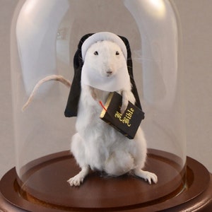 Taxidermy Nun Mouse - Etsy