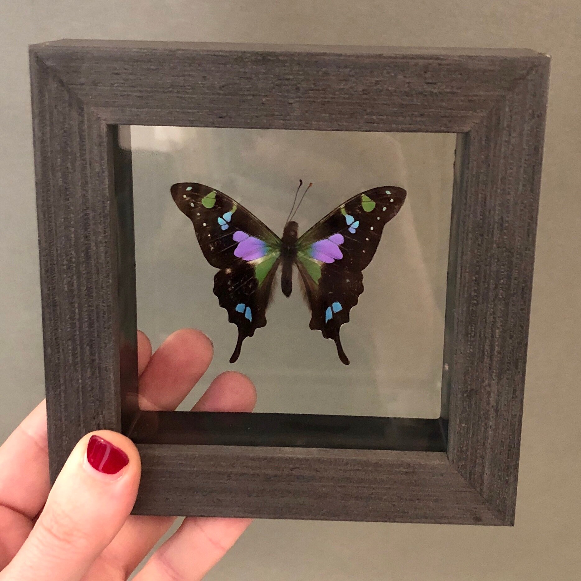 Purple Butterfly Frame