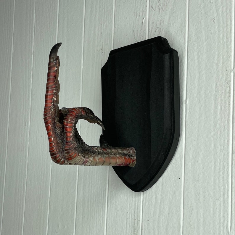 XL Taxidermy Middle Finger THE BIRD Turkey Black Wood Wall - Etsy