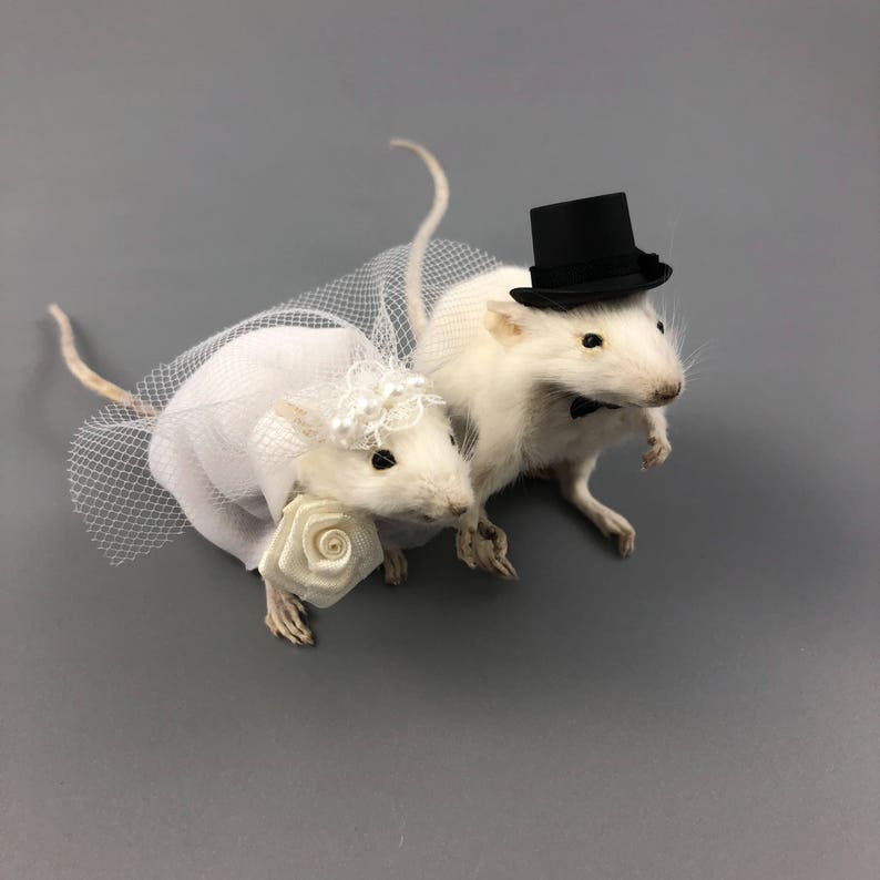 Taxidermy Wedding Mouse Couple Bride and Groom Mice Cake - Etsy