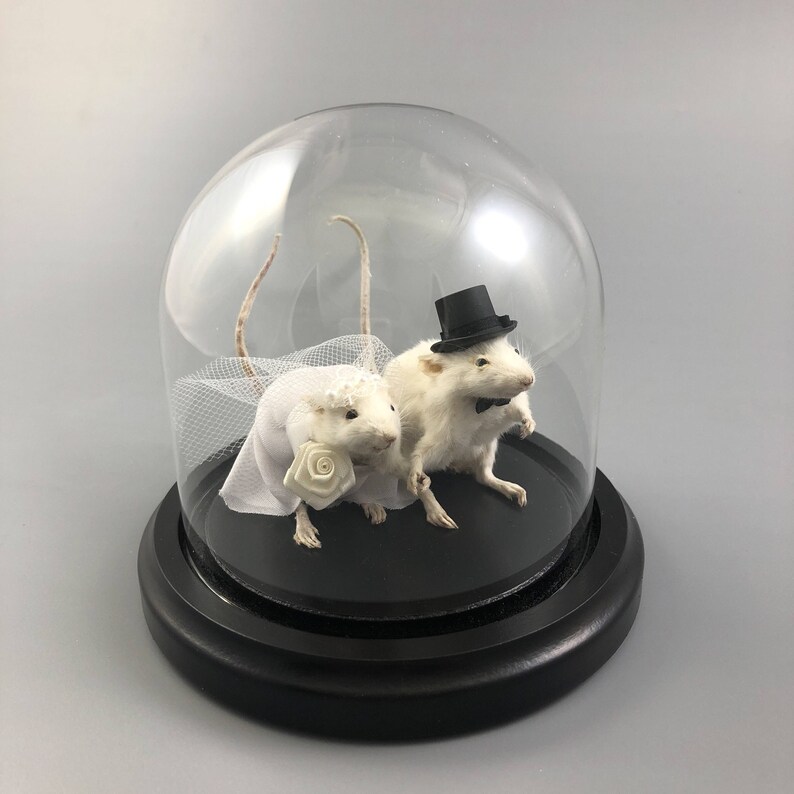 Taxidermy Wedding Mouse Couple Bride and Groom Mice Cake - Etsy