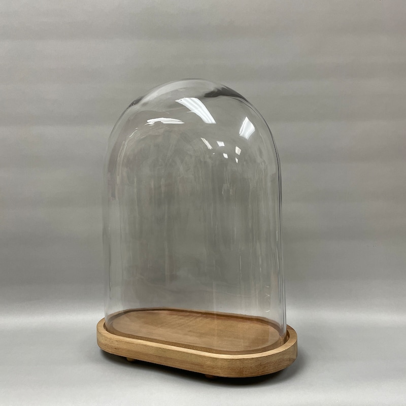Oval Glass Display Cases - Etsy