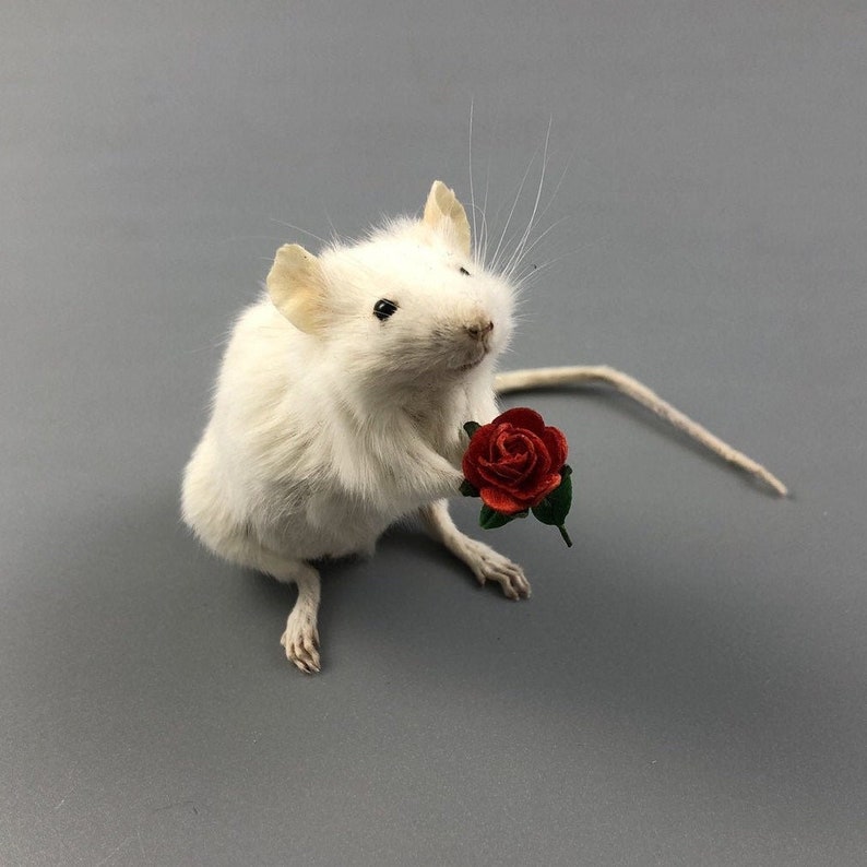 Taxidermy Mouse With Rose - Etsy
