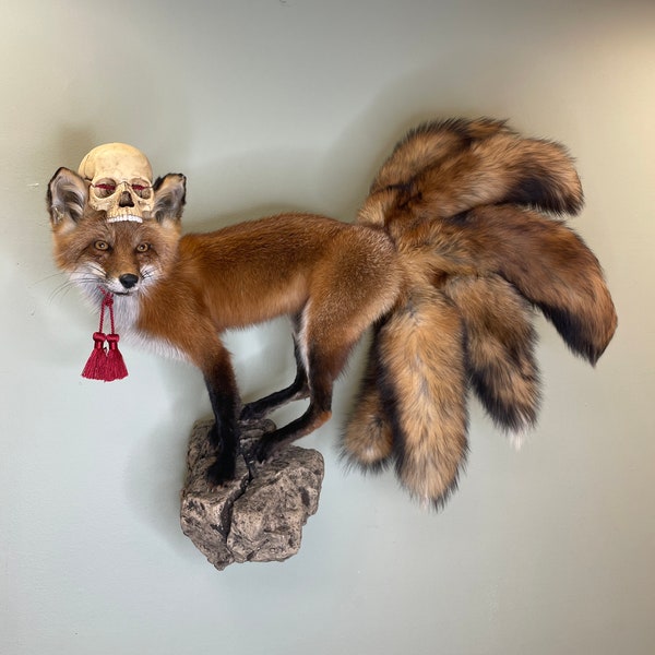 Taxidermy Fox - Etsy