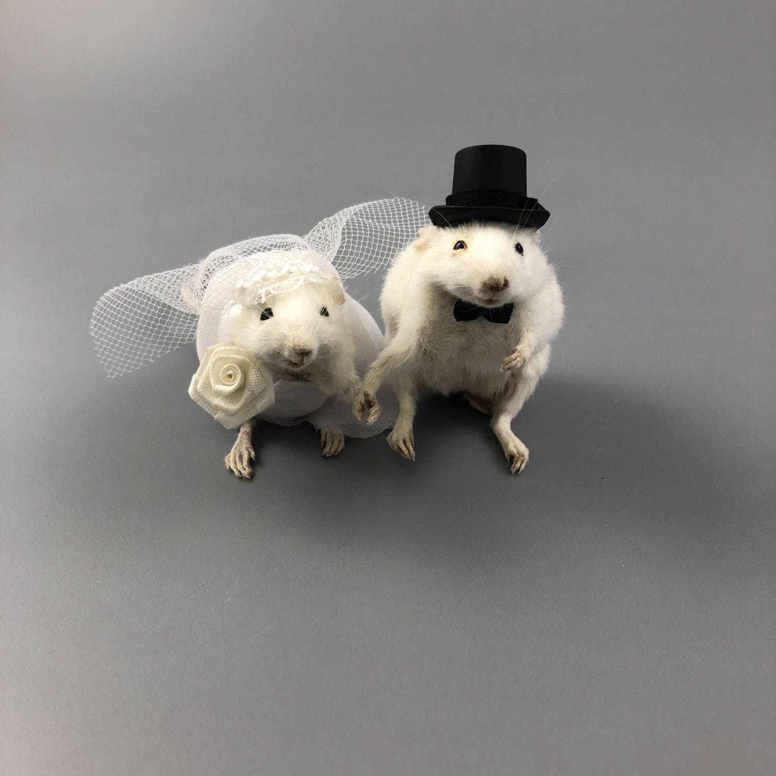 Taxidermy Wedding Mouse Couple Bride and Groom Mice Cake - Etsy