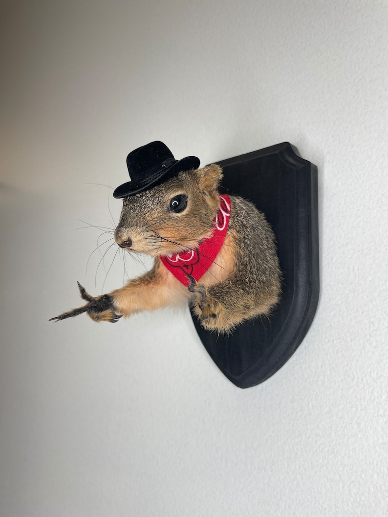 Cowboy Bandit Taxidermy Squirrel Western Country Finger Guns - Etsy