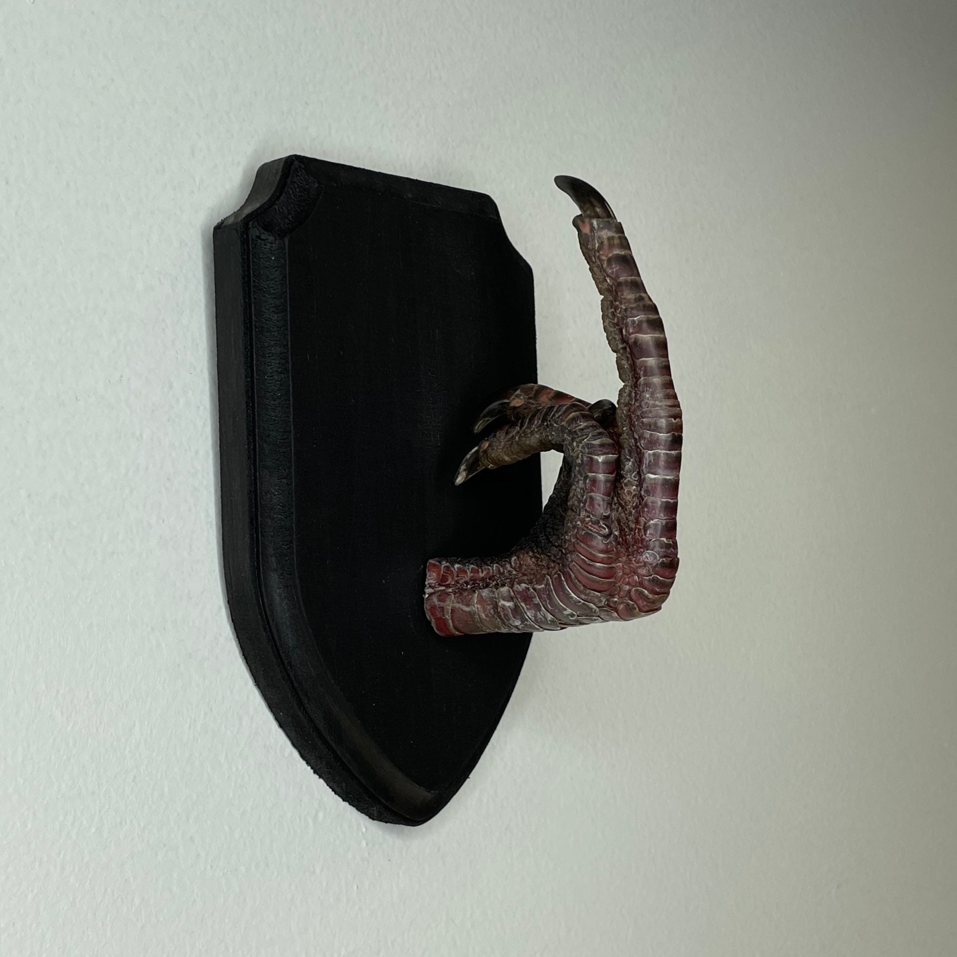 XL Taxidermy Middle Finger THE BIRD Turkey Black Wood Wall - Etsy Australia