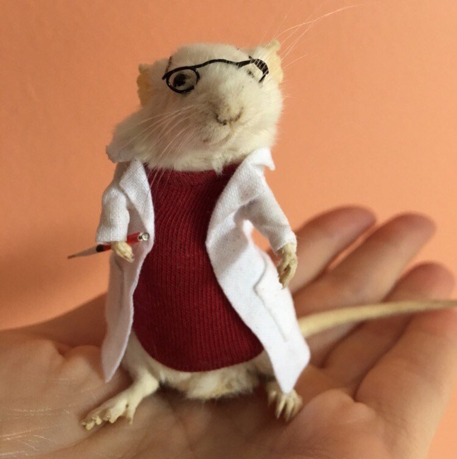 Taxidermy Lab Rat Mouse with Lab Coat Jacket Glasses etc | Etsy