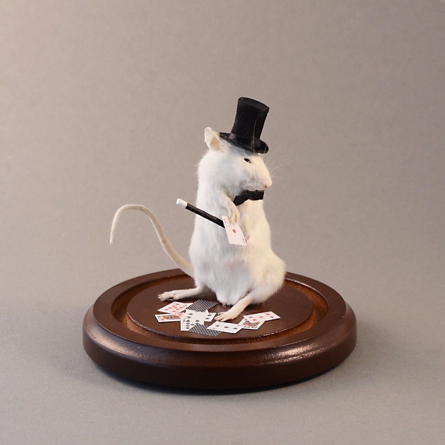 Taxidermy Magic Mouse Magician - Etsy