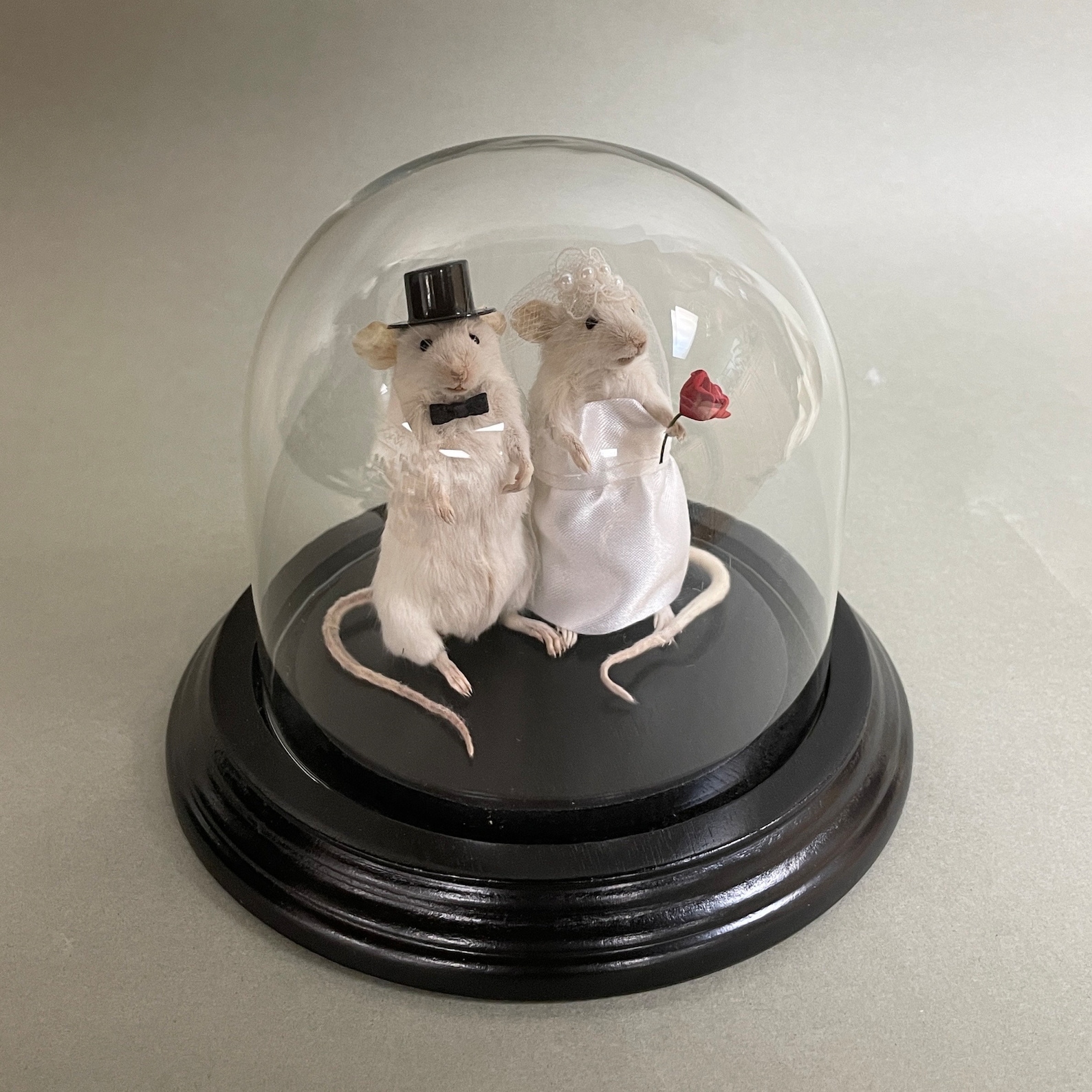 Taxidermy Wedding Mouse Couple Bride and Groom Mice Cake Topper ...