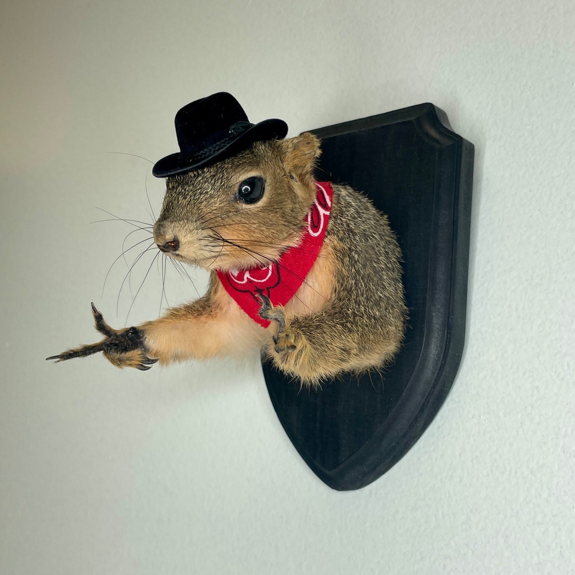 Cowboy Bandit Taxidermy Squirrel Western Country Finger Guns - Etsy