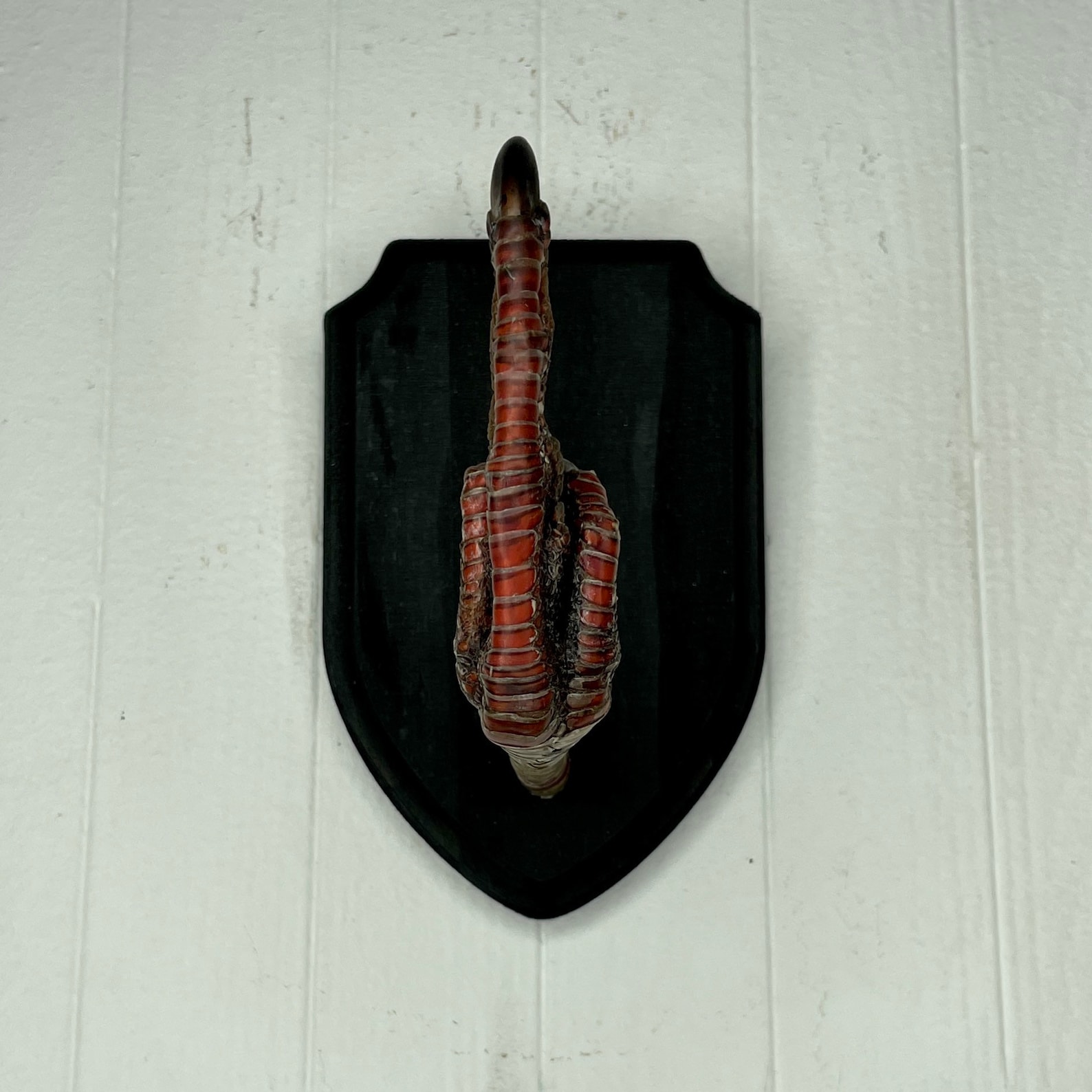 XL Taxidermy Middle Finger THE BIRD Turkey Black Wood Wall Plaque - Etsy