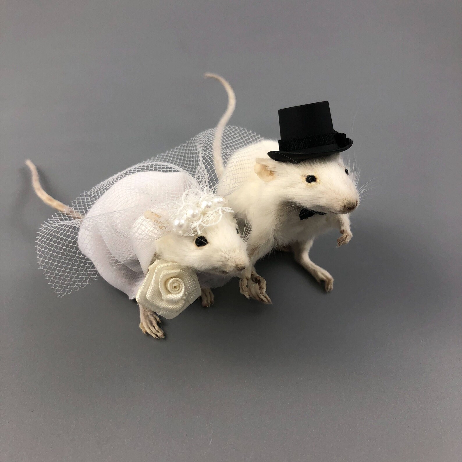 Taxidermy Wedding Mouse Couple Bride and Groom Mice Cake Topper ...