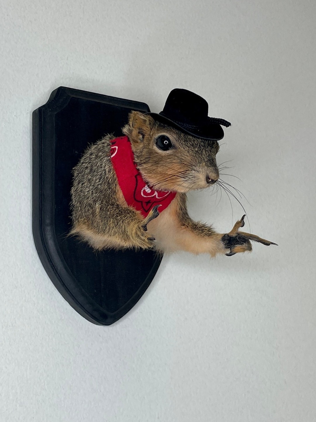Cowboy Bandit Taxidermy Squirrel Western Country Finger Guns - Etsy
