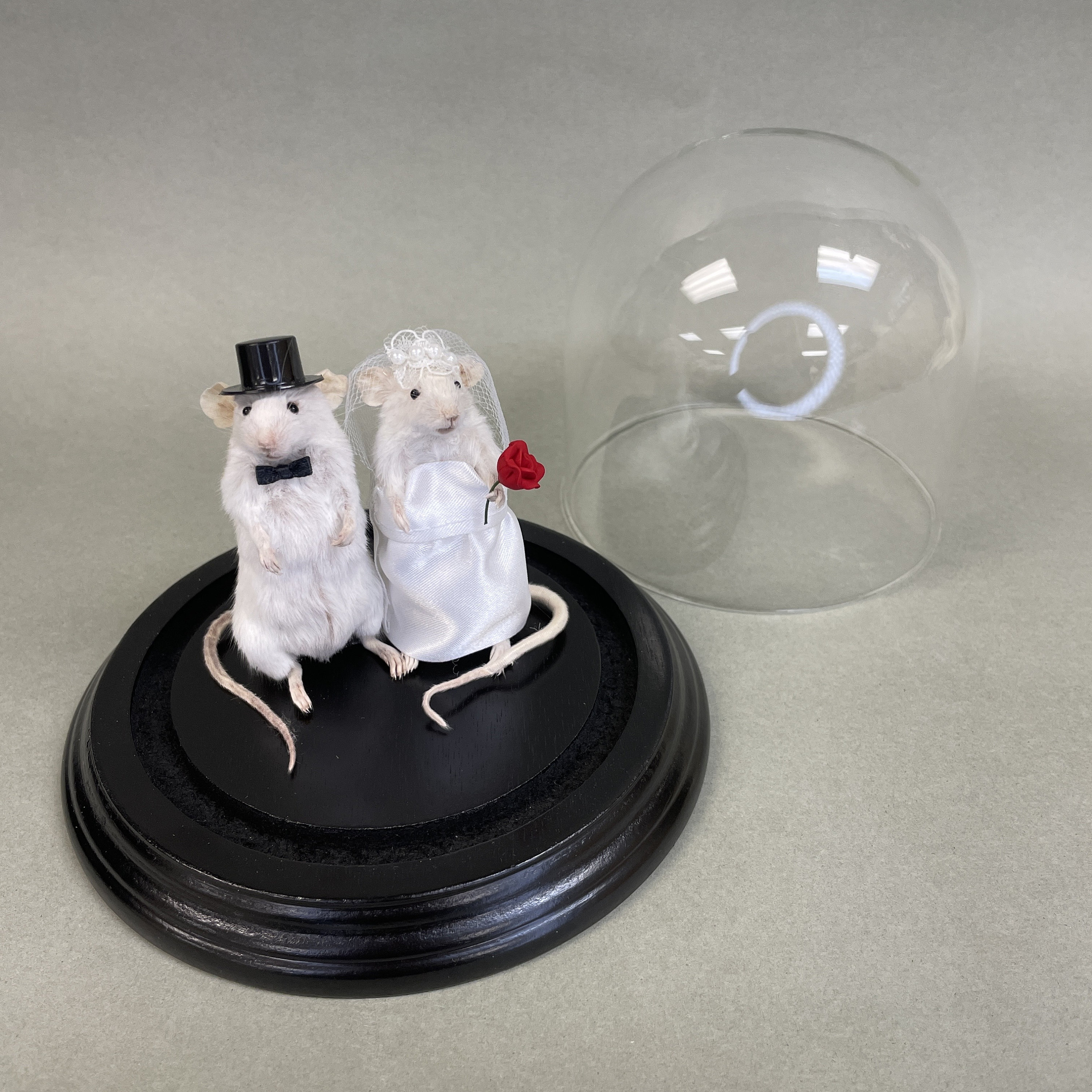 Taxidermy Wedding Mouse Couple Bride and Groom Mice Cake Topper ...