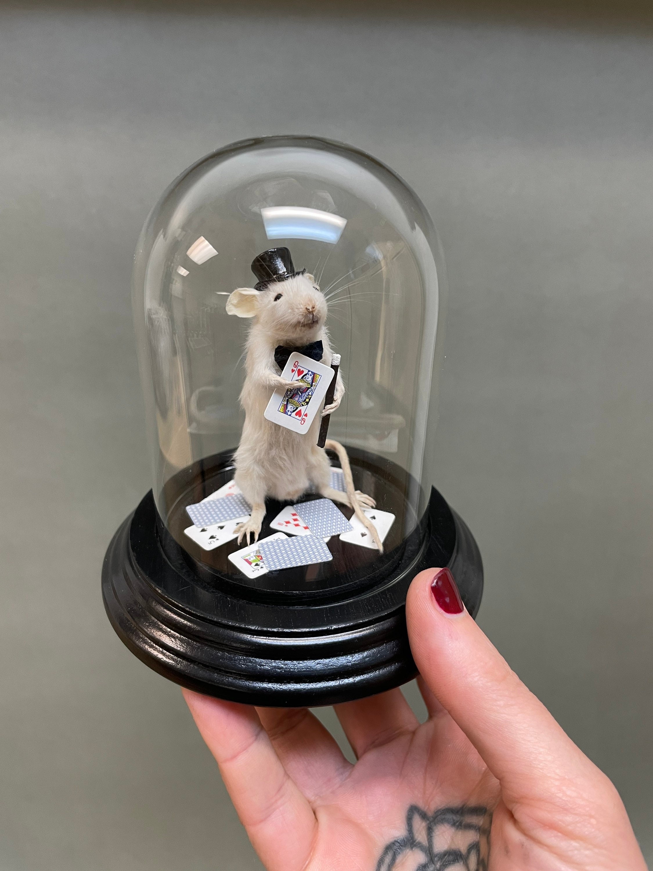 Taxidermy Magic Mouse Magician - Etsy