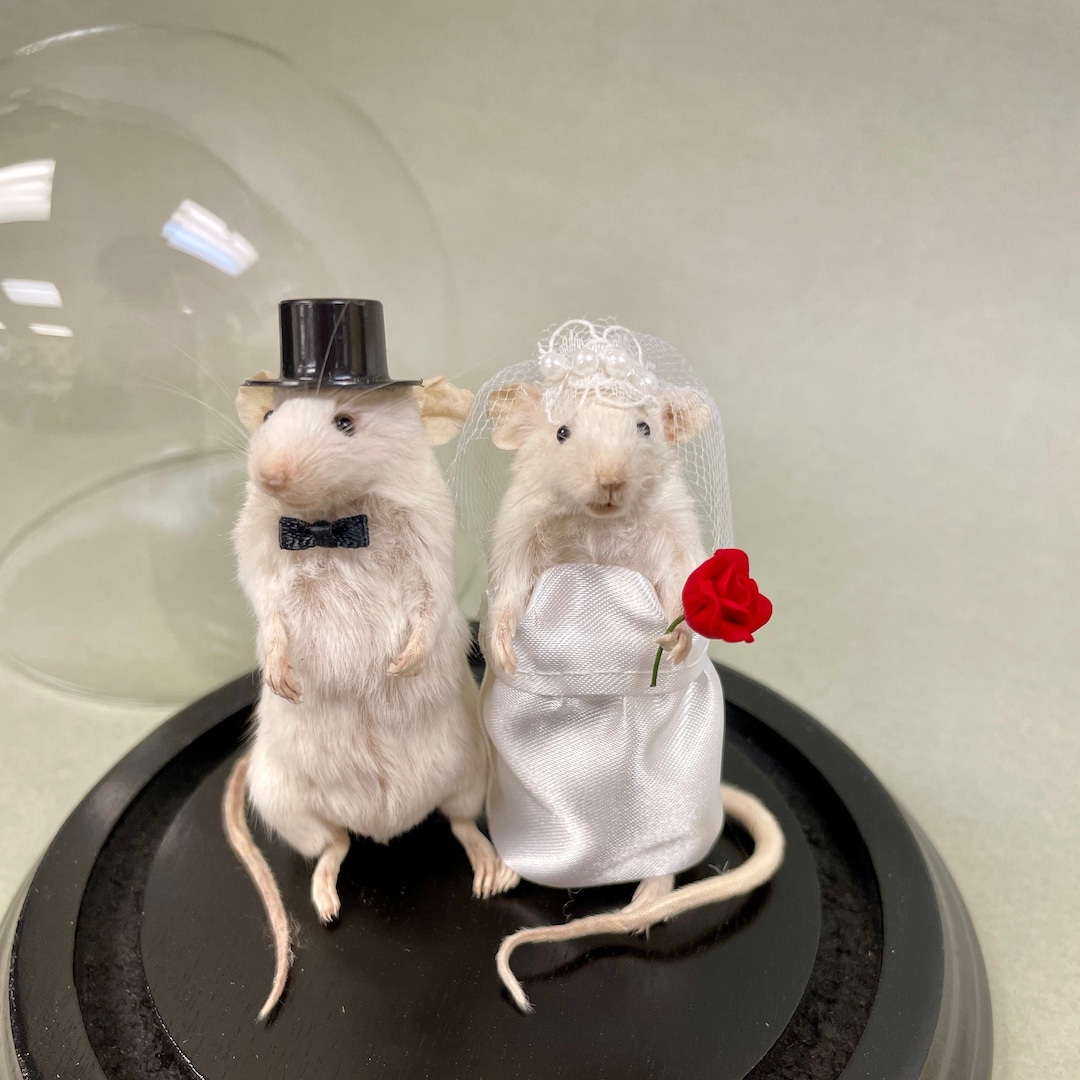 Taxidermy Wedding Mouse Couple Bride and Groom Mice Cake Topper ...