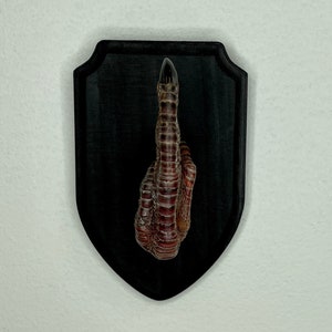 XL Taxidermy Middle Finger THE BIRD Turkey Black Wood Wall Plaque - Etsy