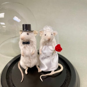 Taxidermy Wedding Mouse Couple Bride and Groom Mice Cake Topper ...