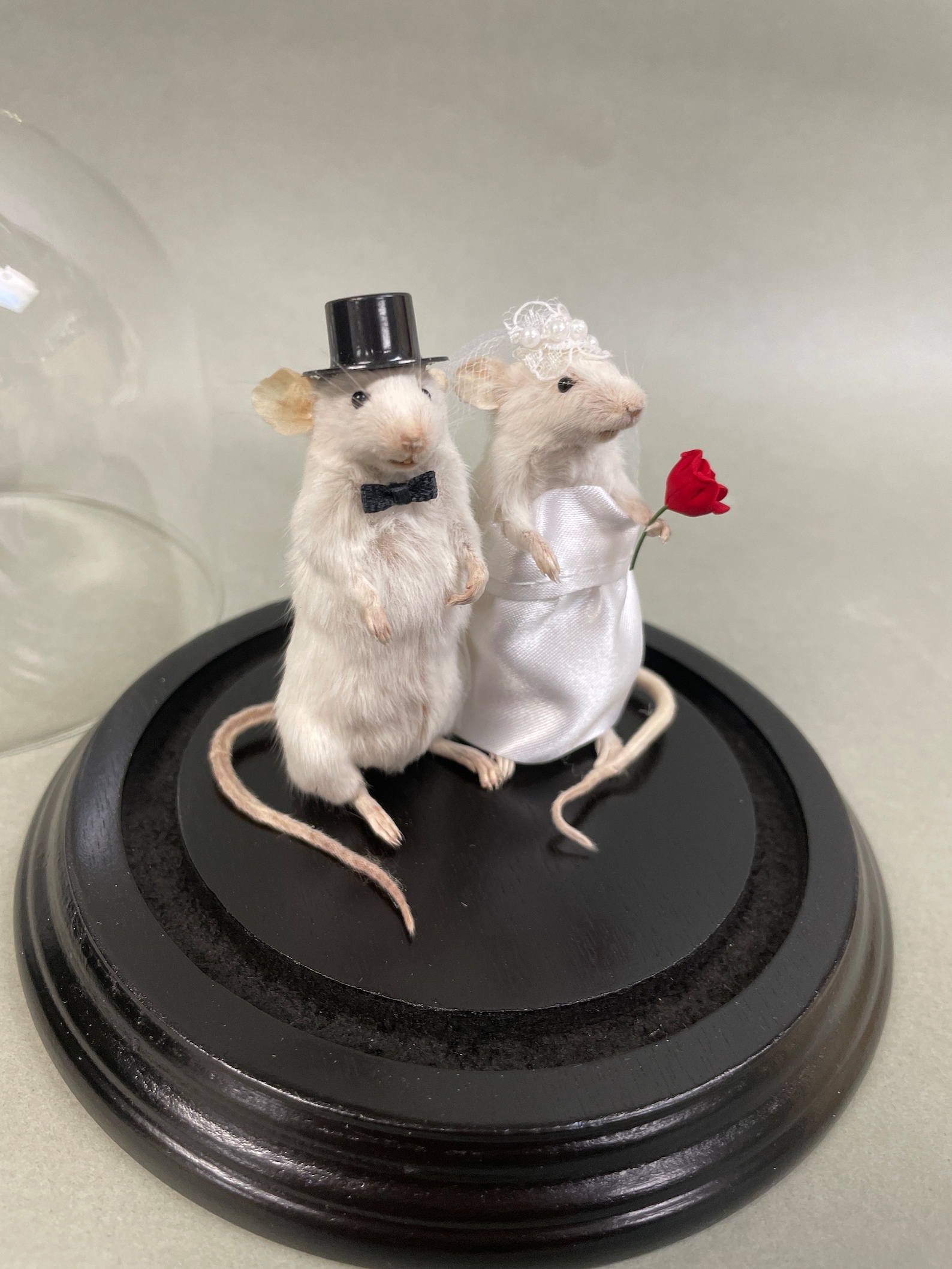 Taxidermy Wedding Mouse Couple Bride and Groom Mice Cake Topper ...