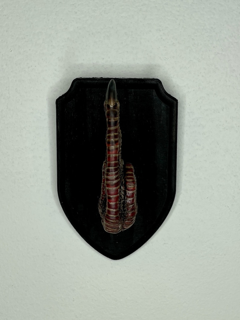 XL Taxidermy Middle Finger THE BIRD Turkey Black Wood Wall - Etsy