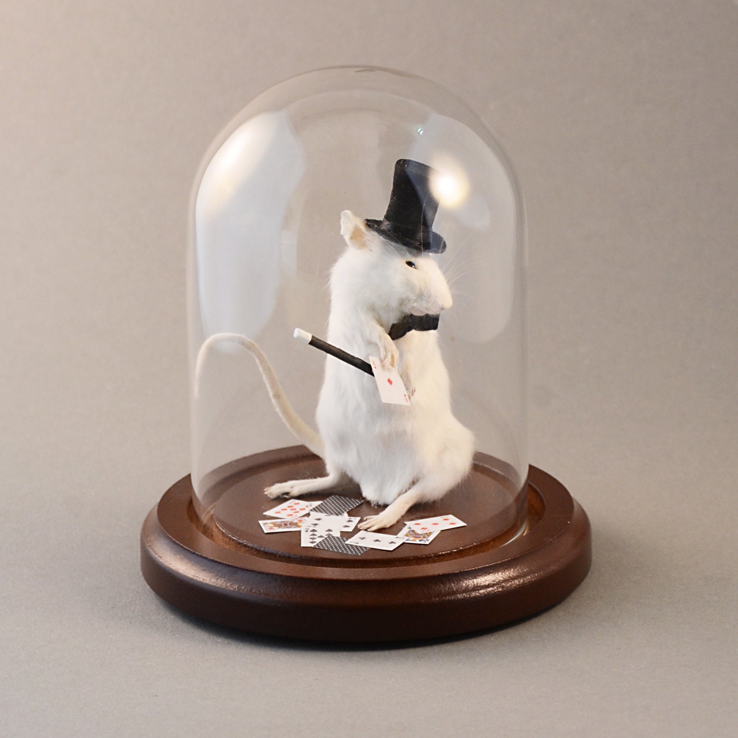 Taxidermy Magic Mouse Magician - Etsy