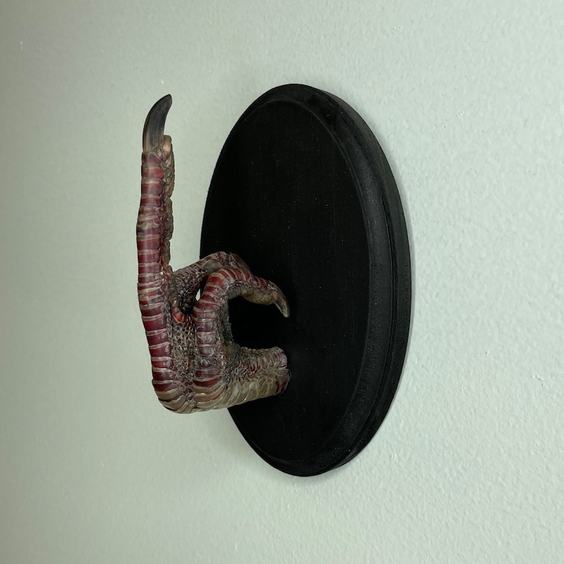 XL Taxidermy Middle Finger THE BIRD Turkey Black Wood Wall Plaque - Etsy