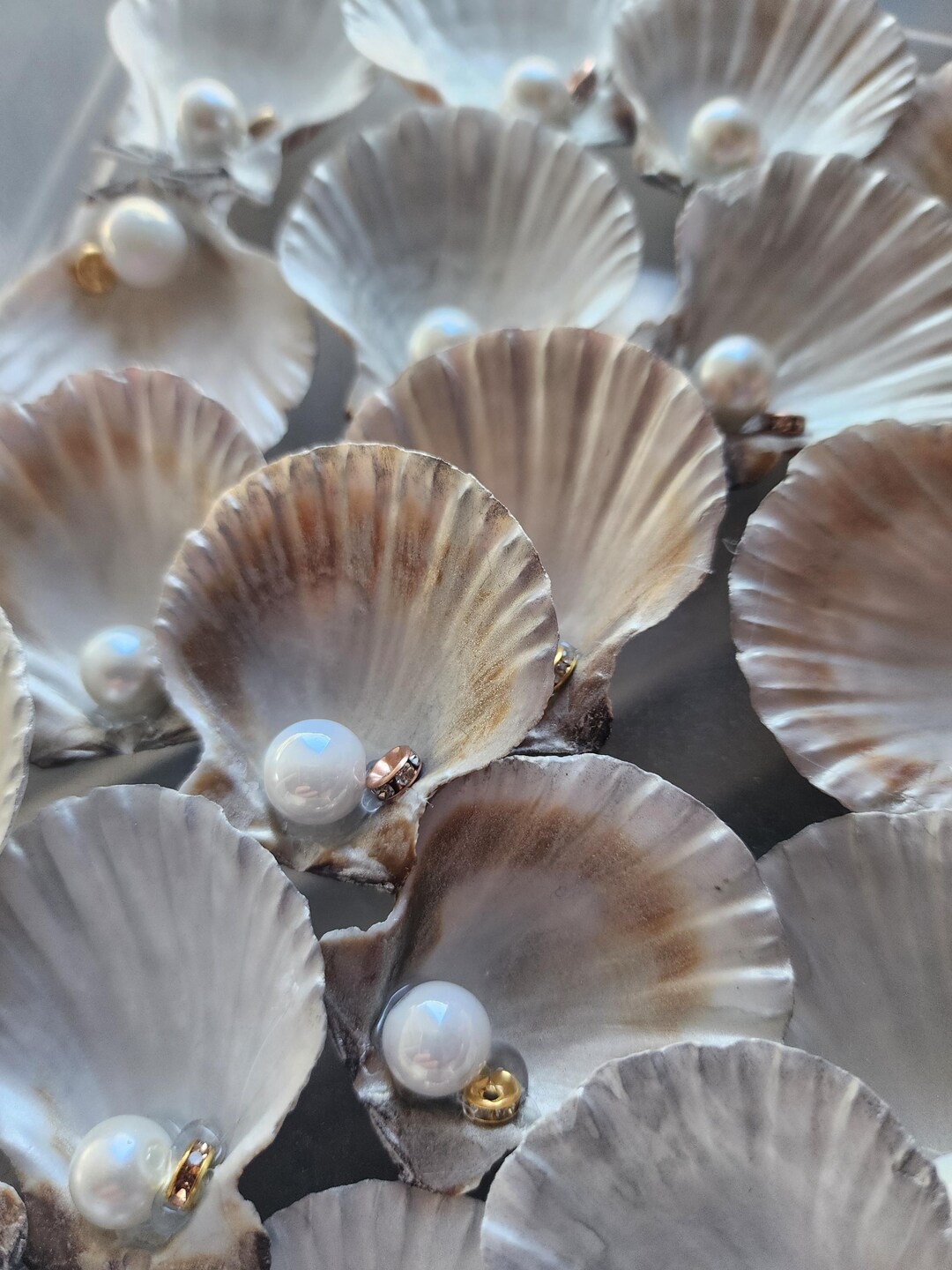20 Metallic and Pearl Painted Shells Wedding Favor, Table Decor, Baby ...