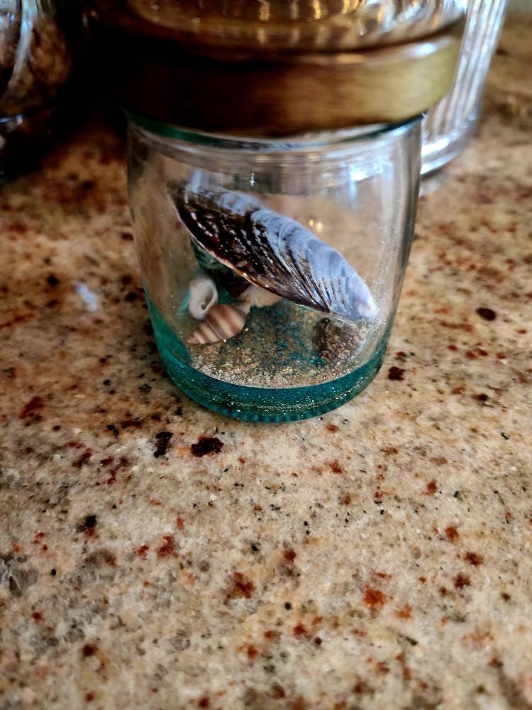 Upcycled Beach in a Jar With Resin and Shells - Etsy