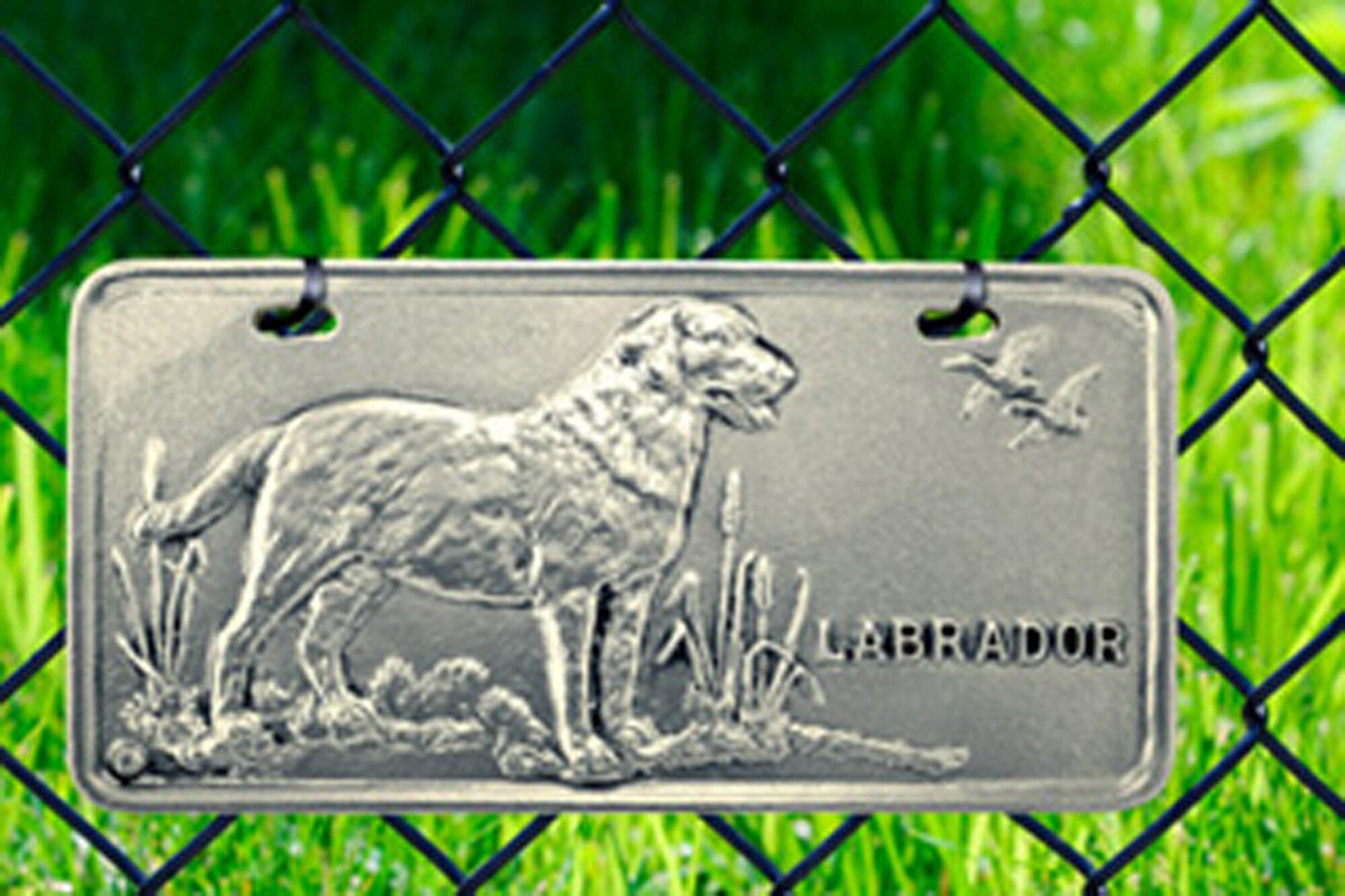 Dog License Plates In Cast Metal Etsy dog-license-plates-in-cast-metal-etsy