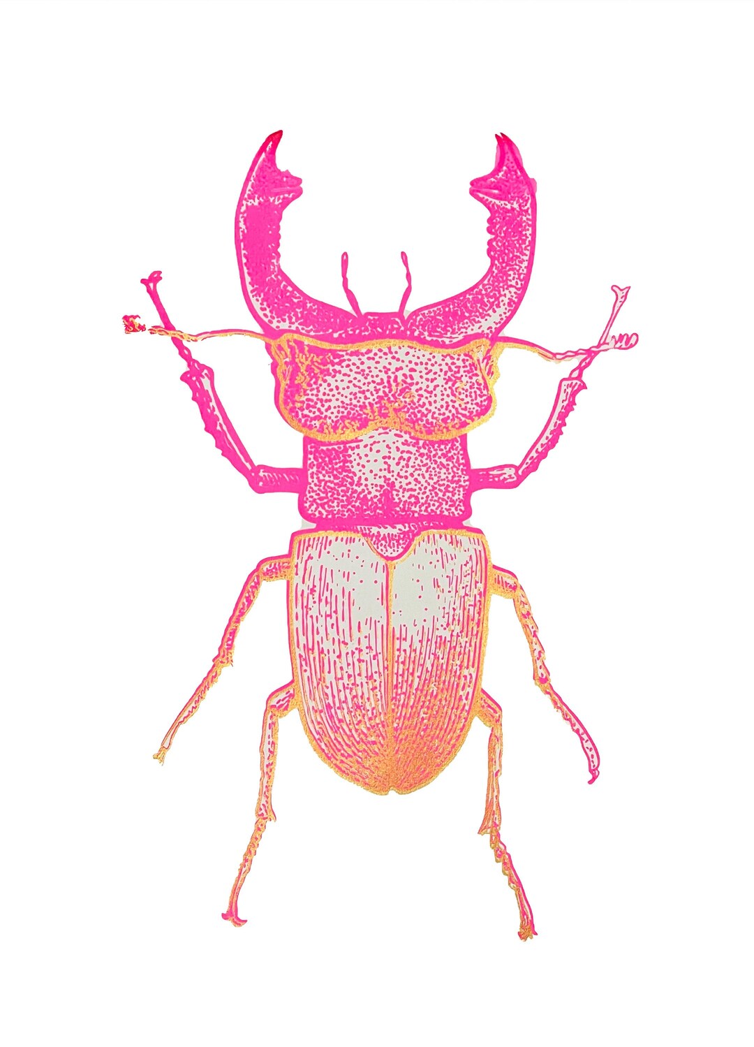 Silkscreen Poster Stag Beetle, Fluorescent Pink Gold Print, Vintage ...