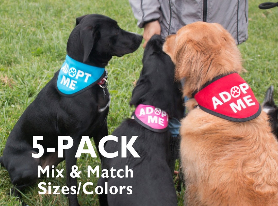 5-pack ADOPT ME Bandana Scarf for Rescue Dogs - Etsy