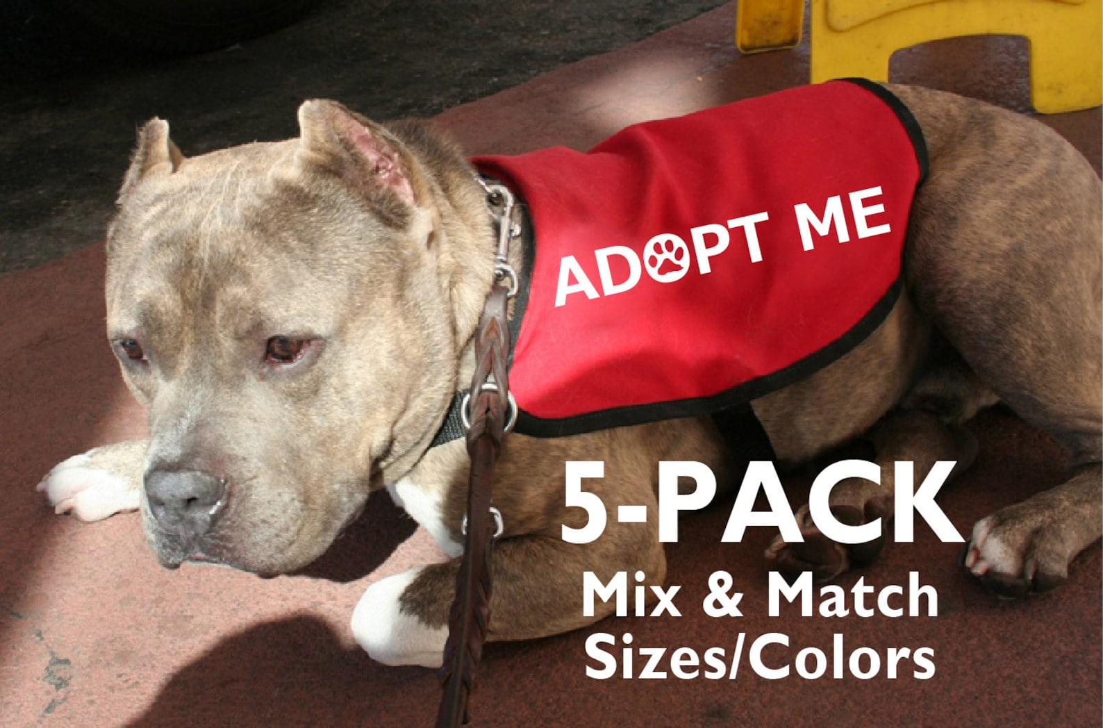 5-pack Adopt Me Dog Jackets Vests - Mix & Match - Etsy