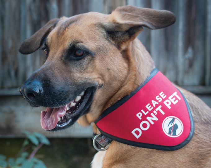 DO NOT PET Iron-on Patch - Etsy