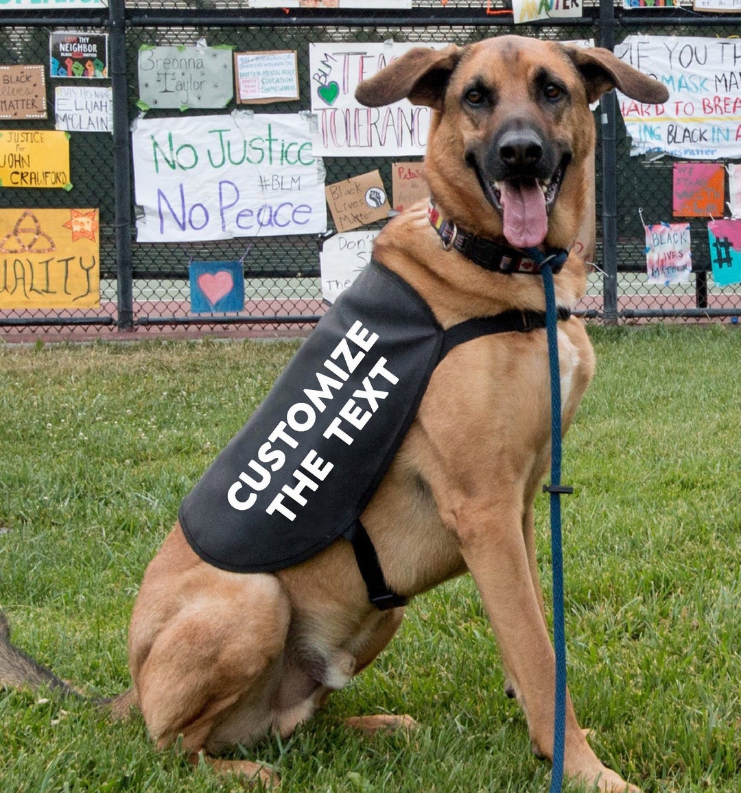 CUSTOMIZE Your Dog Jacket/vest - You Choose the Text! - Etsy