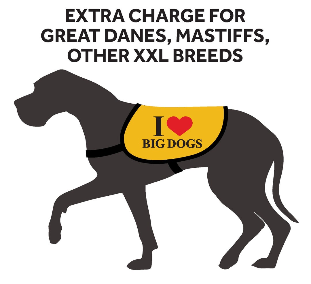 Extra Charge for XXL Dogs Over 100 Lbs - Add-on for Great Danes ...