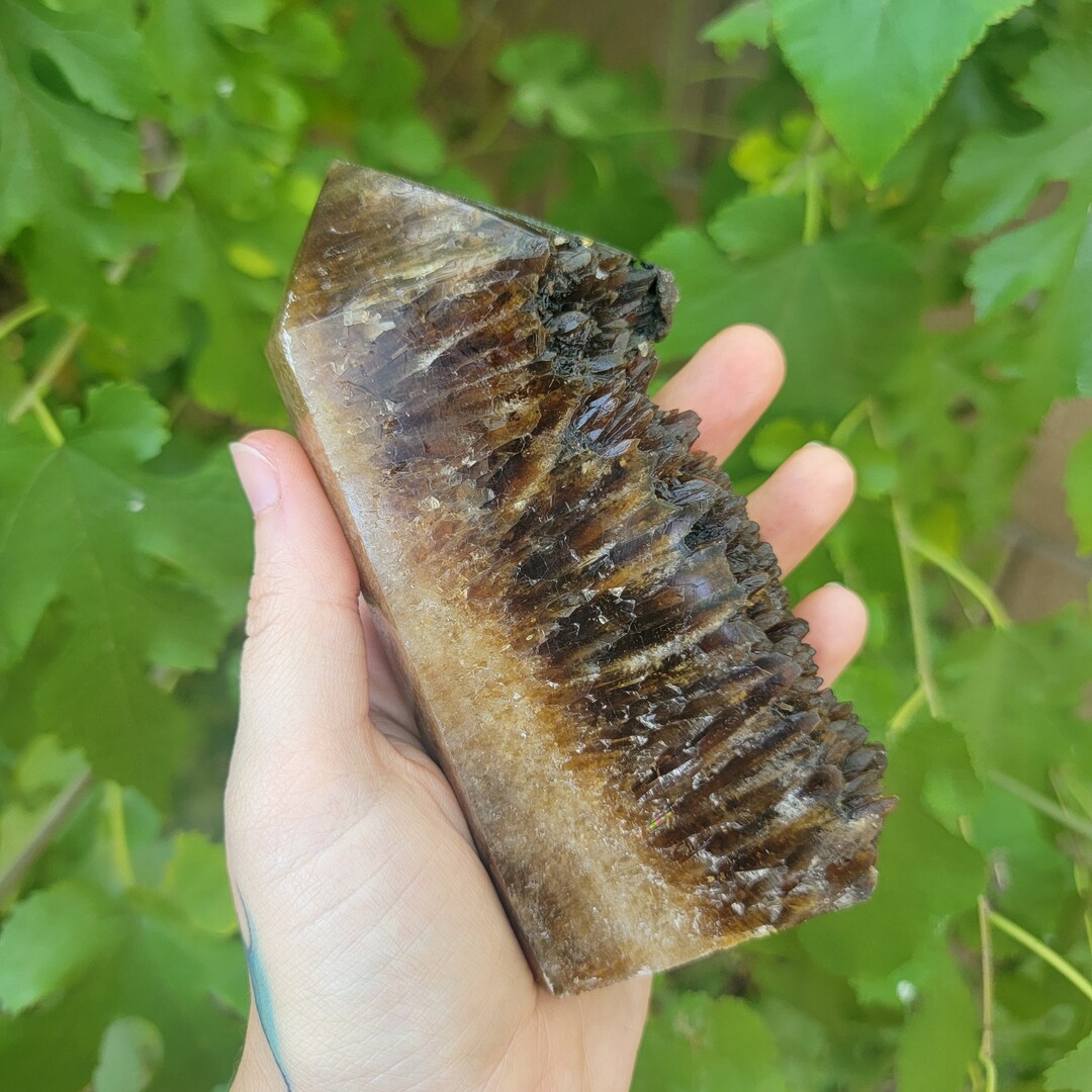 Unique Amber Tower - Etsy