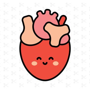 Cute Anatomical Heart Svg Png Jpg Eps Pdf Ai / Cardiac / Anatomical ...