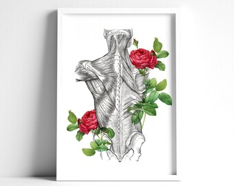Muscles of the Back Floral Vintage Human Anatomy Art Marigold - Etsy