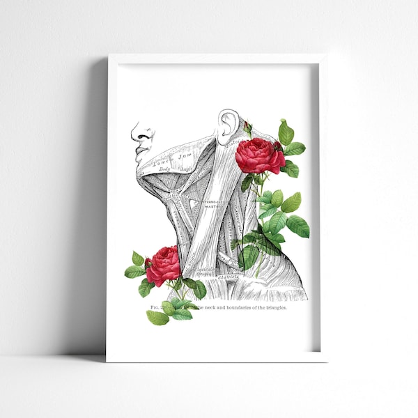 Floral Muscle Anatomy Prints - Etsy