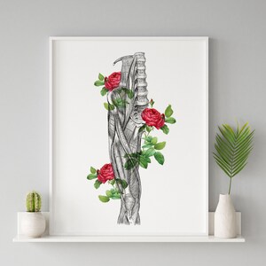 Femoral Iliac Muscle Leg Flower Human Anatomy Art Print Vintage ...