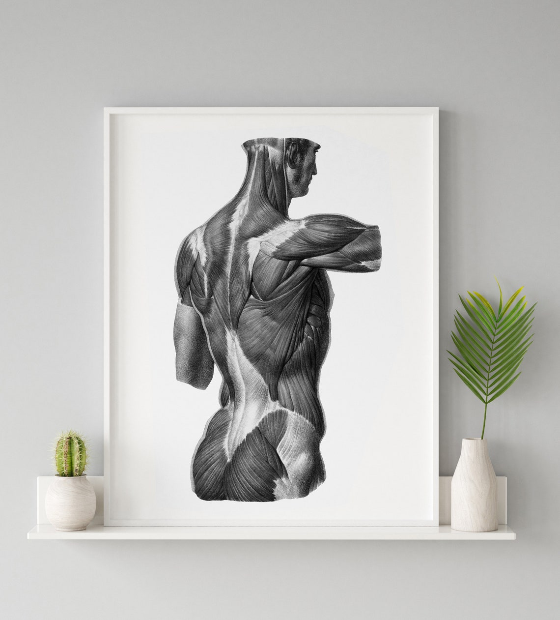 Muscles of the Back Vintage Human Anatomy Art Print Black and - Etsy