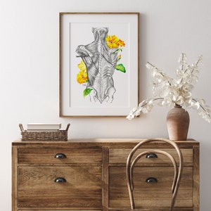 Muscles of the Back Floral Vintage Human Anatomy Art Orange Flower ...