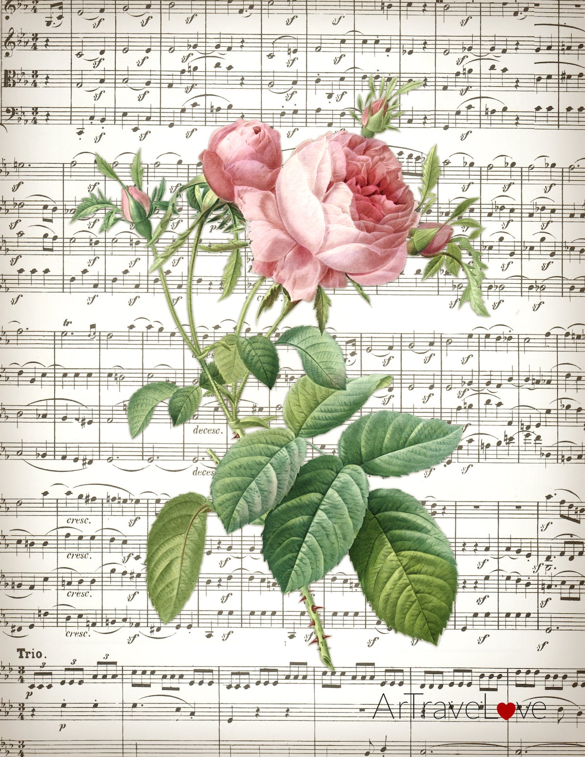 Pink Rose Flower Sheet Music Art Print | Etsy