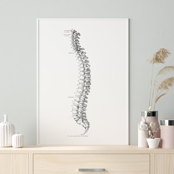 Spine Art - Etsy