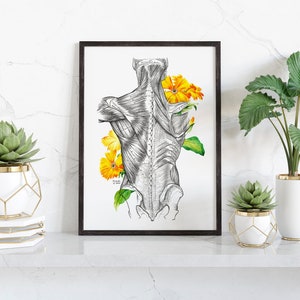 Muscles of the Back Floral Vintage Human Anatomy Art Orange Flower ...